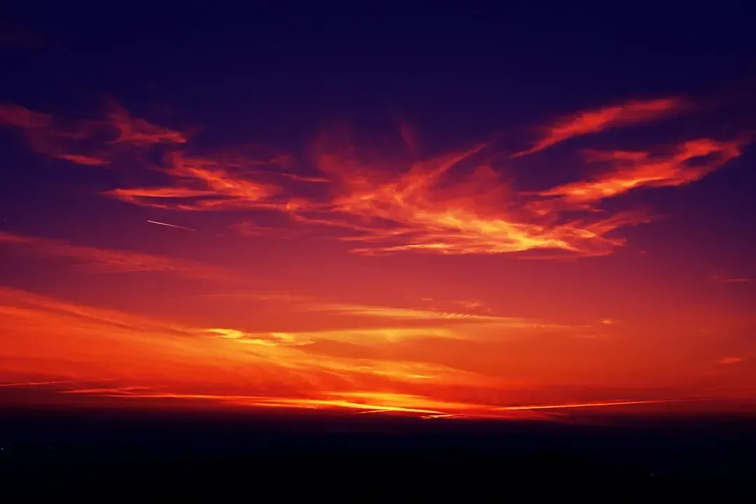 8 old weather prediction methods making a huge comeback among modern ...