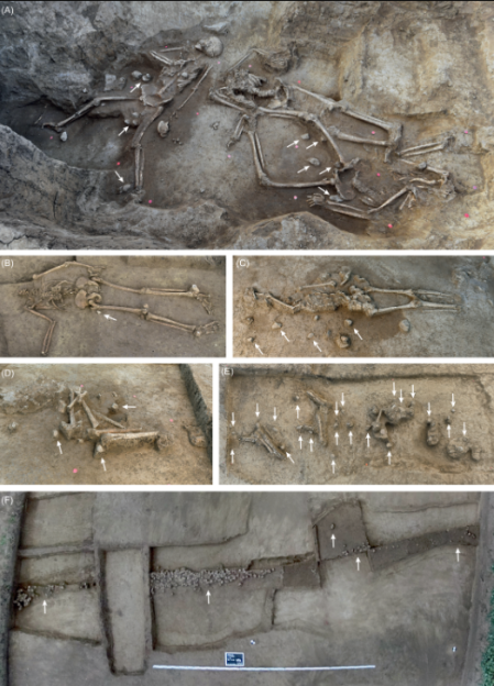 Decenas de esqueletos sin cabeza de hace 7.000 años encontrados en ...