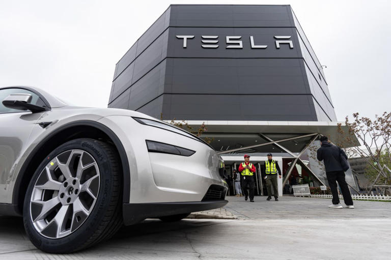 How Dutch safety data could open Europe for Tesla