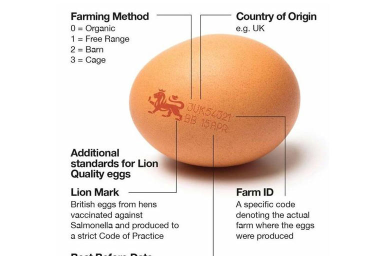 UK households told to check eggs for 8-digit code to avoid salmonella