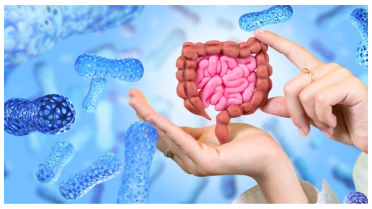 Gut health: Why your digestive system holds the key to a calm mind?