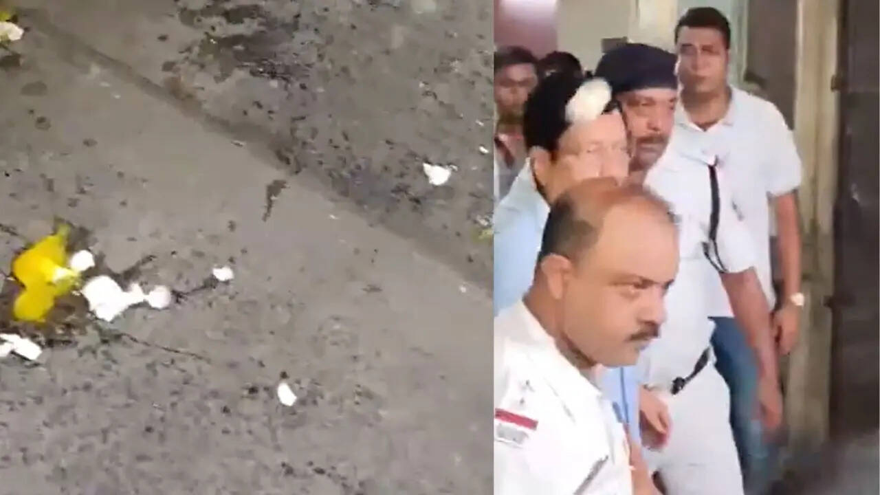 Eggs, tomatoes and cow dung hurled at former Bidhannagar mayor after ...