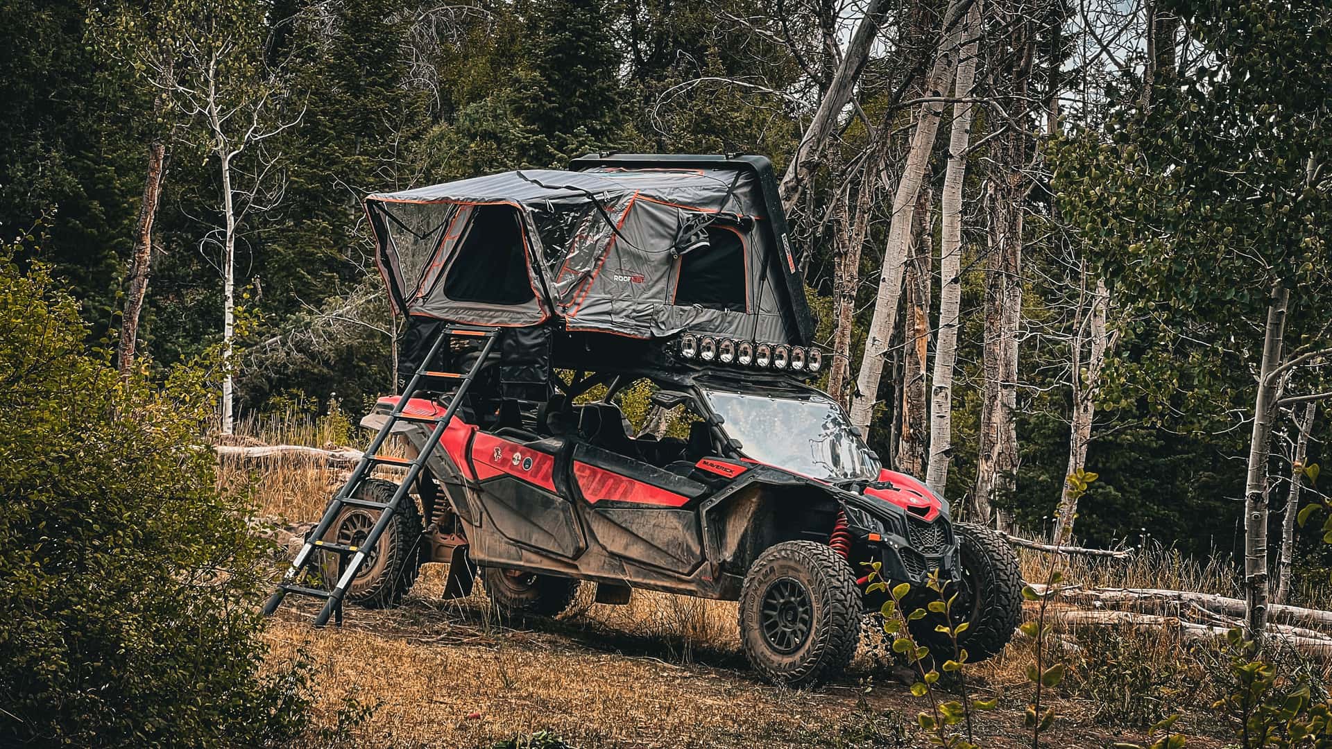 South Carolina just admitted UTVs aren't just toys. State legalizes ...