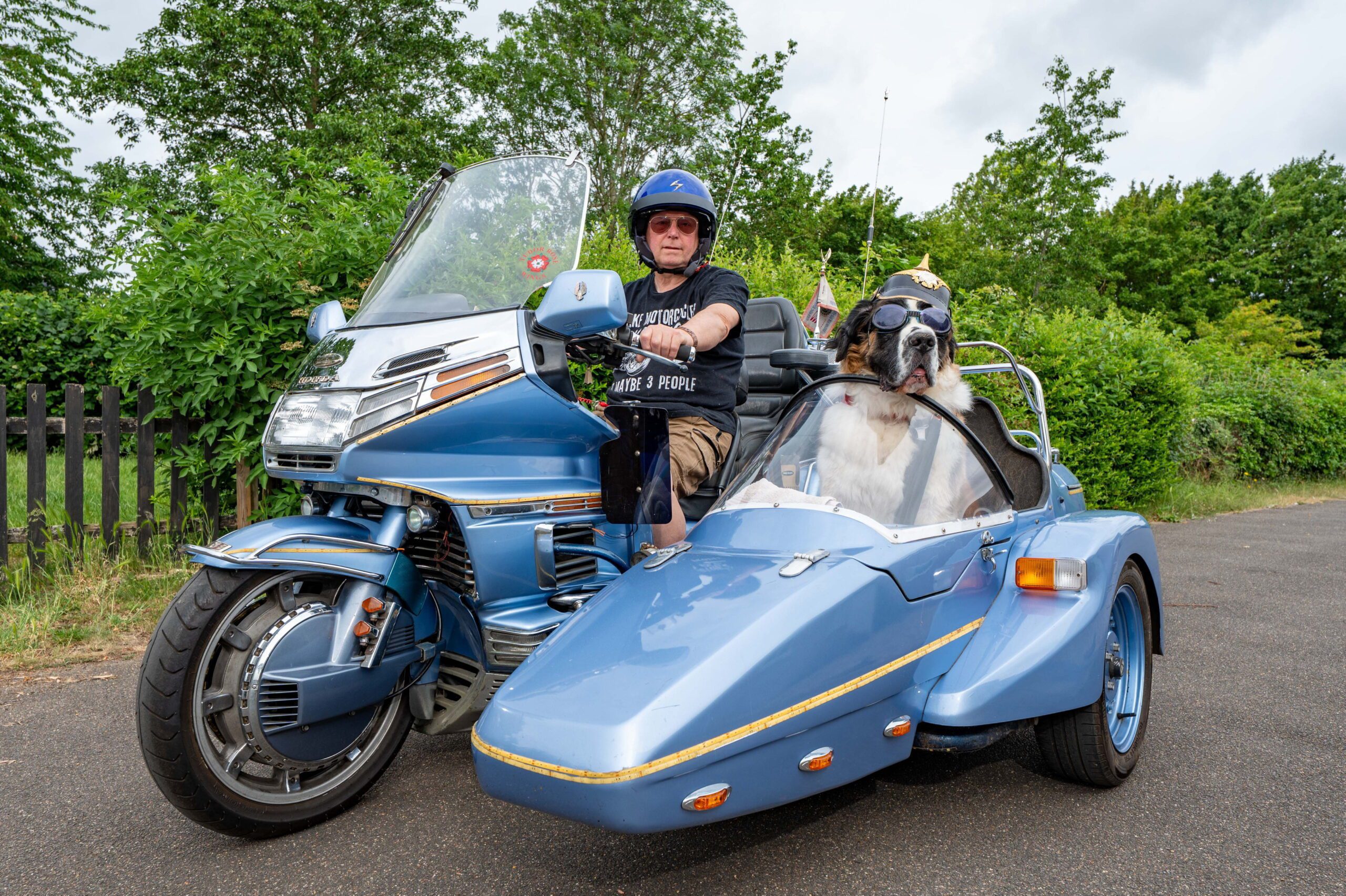 Petrolhead pup dons goggles and helmet for motorcycle sidecar rides