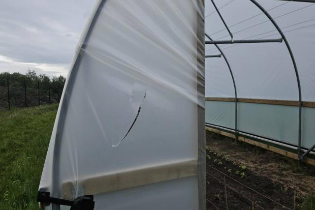 Vandals cause 'significant damage' at Northern Roots urban farm