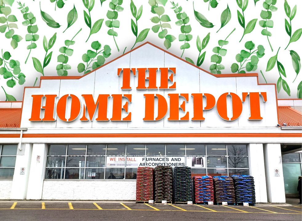 11 best new Home Depot garden finds under $20