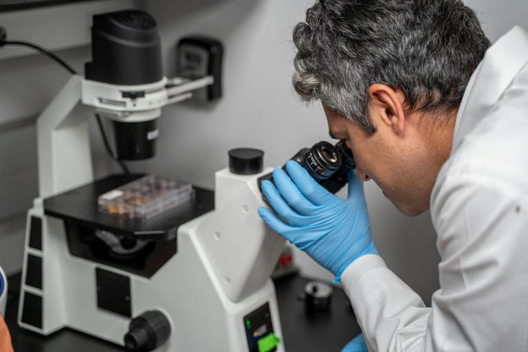 Cancer vaccines based on mRNA advance, despite US cuts