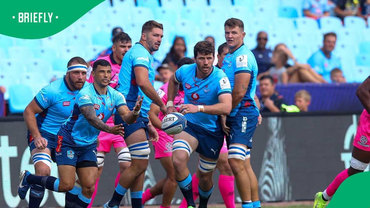 Vodacom Bulls deny viral claims that team mascot died in tragic accident