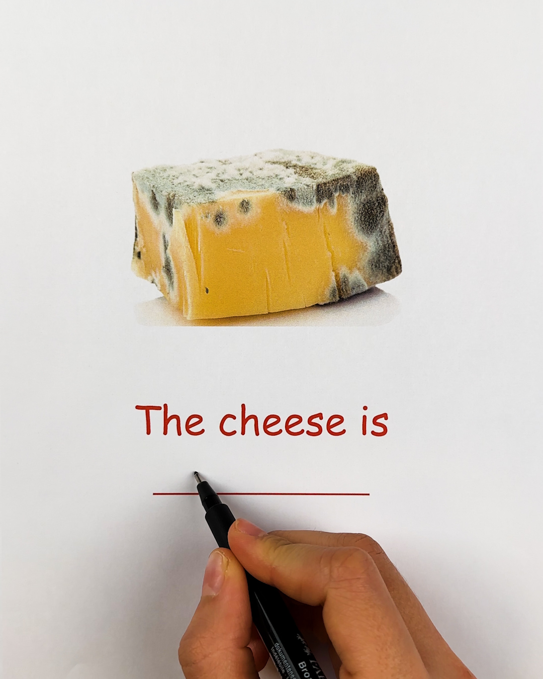 Raad het voordat het onthuld wordt! 🧐🥫