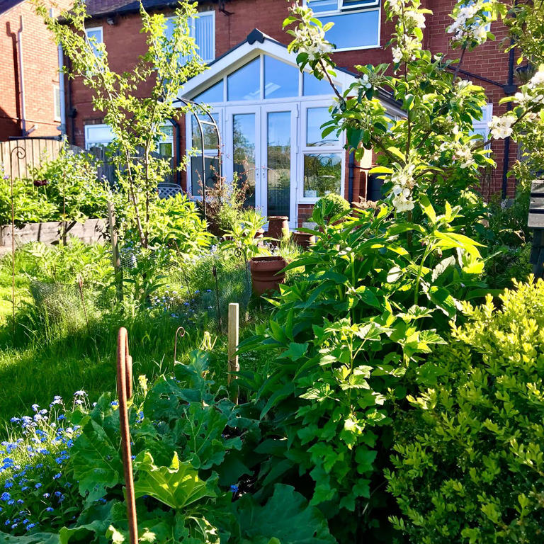 How gardening keeps me grounded and focused – it's my therapist and ...