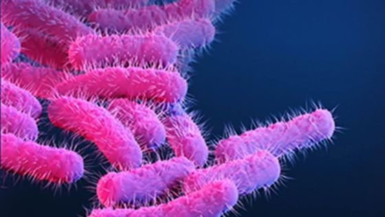 Kerala shigella outbreak: All about this highly contagious infection