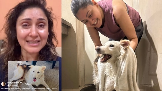 Actor Manjari Fadnnis seeks justice after her Mumbai society's dog ...