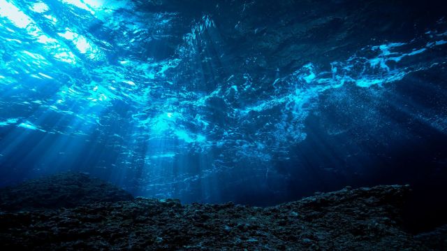 Deep-sea robot finds nearly intact shipwreck off Norway with stacks of ...