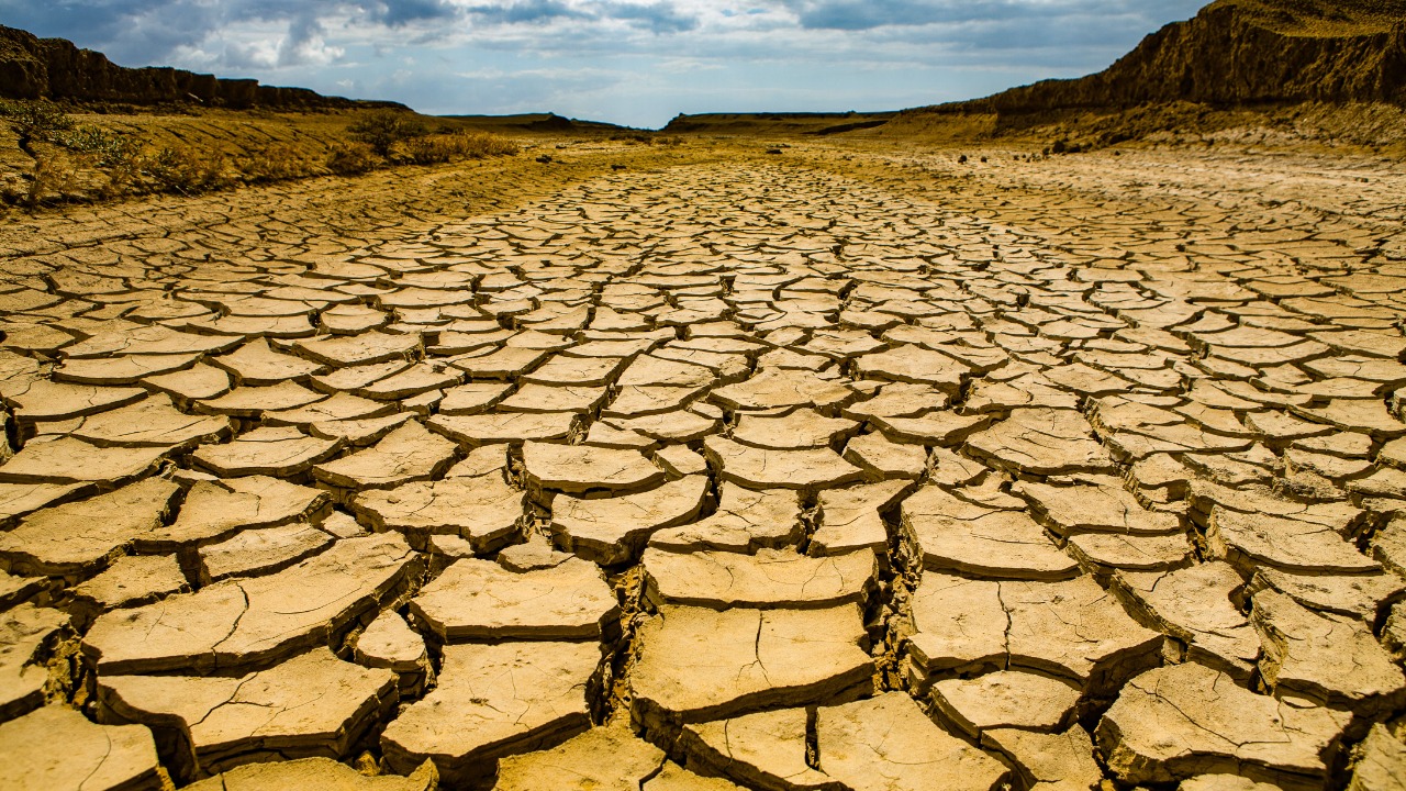 UN forecasters say the next five years carry high odds of a new hottest ...