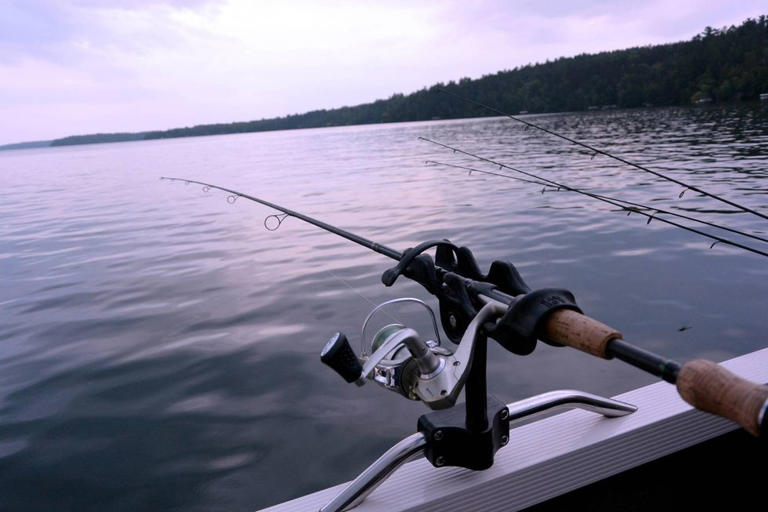 Minnesota Department of Natural Resources launches new digital hunting ...