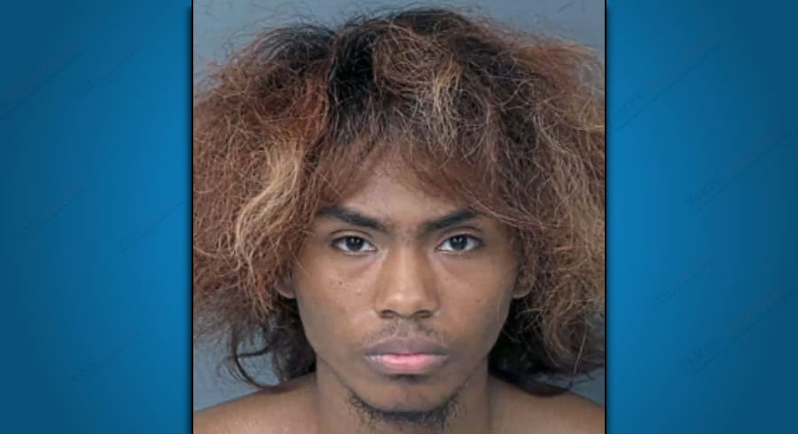 Digital footprint triggers Brooksville man’s arrest in major cyber ...