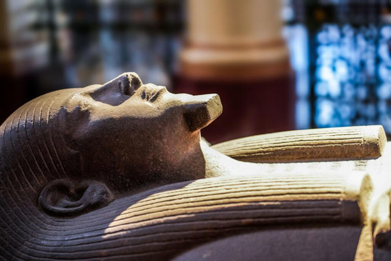 Archaeologists stunned after Homer's 'Iliad' found on Egyptian mummy in ...