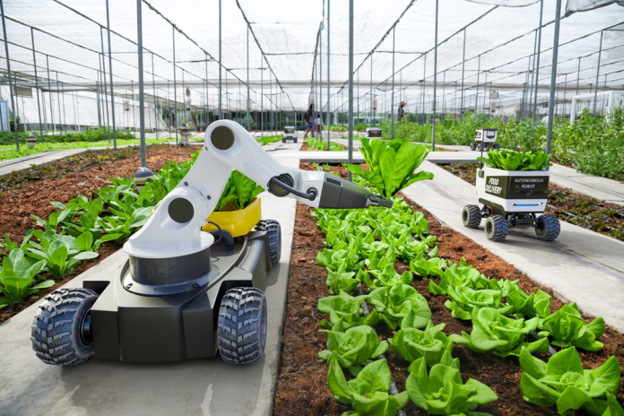 Teen turned down $300,000 to keep farm AI in class