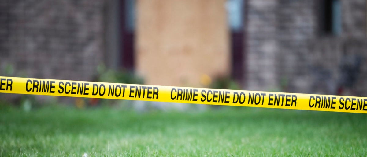 ‘Look at the man’s rap sheet’: Father of 5 tracks down son’s stolen car ...
