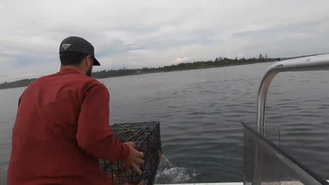 Why they pulled a lobster trap in an undisclosed spot - then something ...