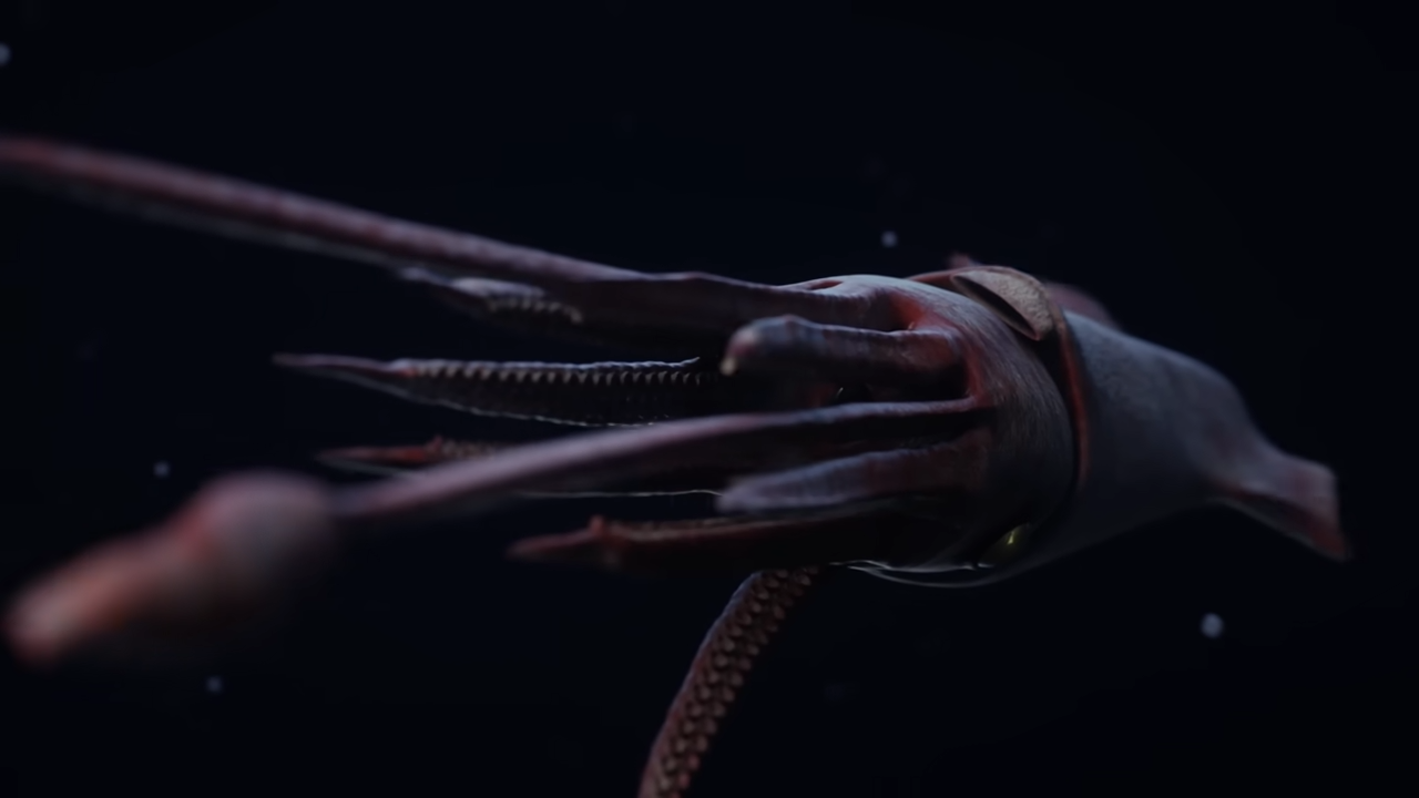There may be 131 million giant squid hiding in the ocean - but only ...