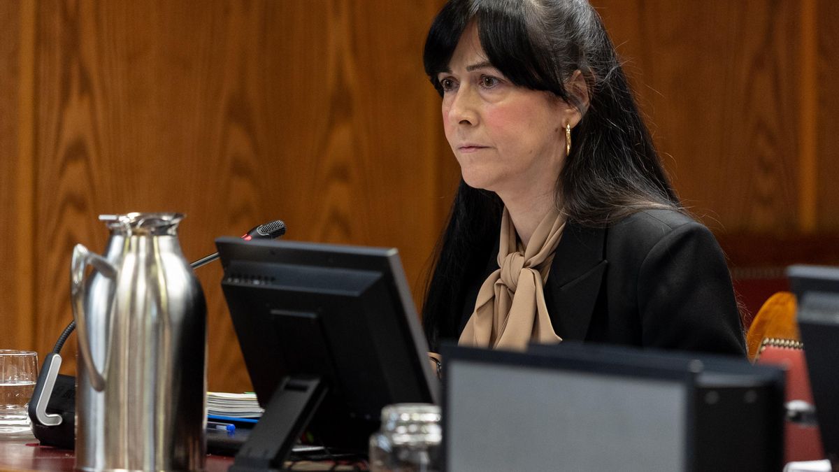 La presidenta de la SEPI defiende el fondo que rescató a Air Europa o ...