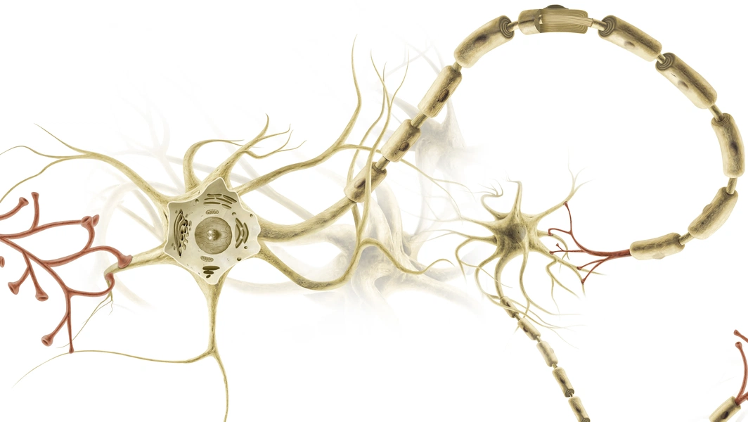 Small daily habits that keep your brain young
