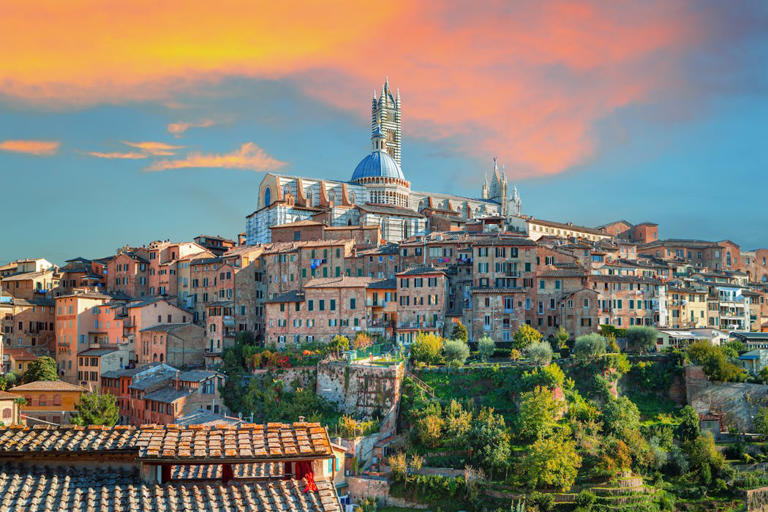 Vision, Europe of the Future conference – in partnership with The ...