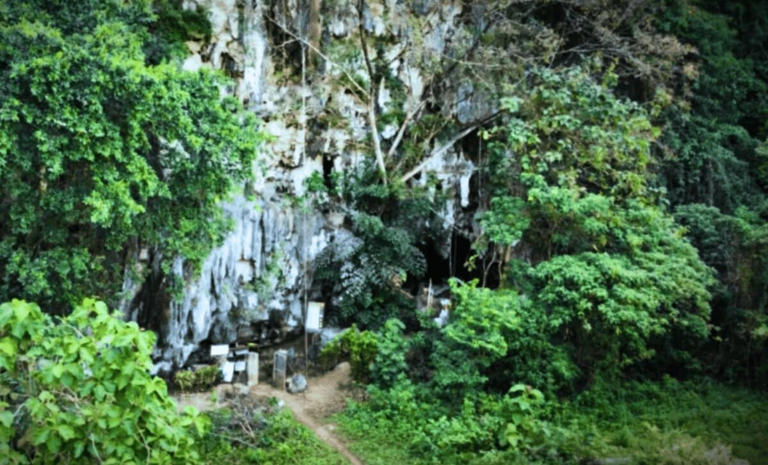 Scientists discover ancient human-like species that lived and hunted in ...