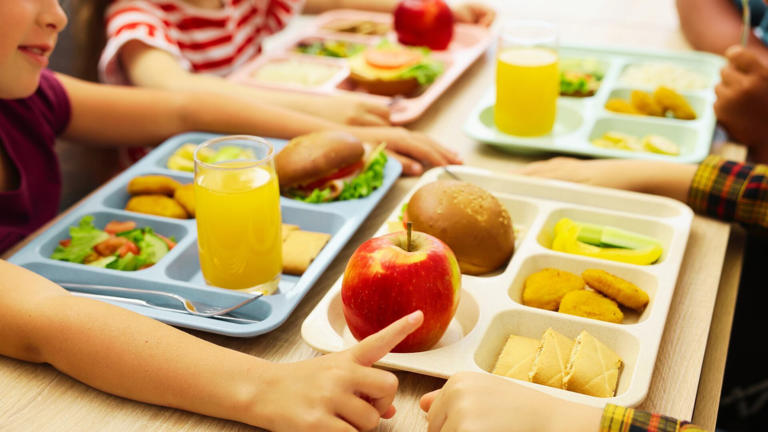 NJ school lunch menu’s ‘demeaning’ Juneteenth image has district ...