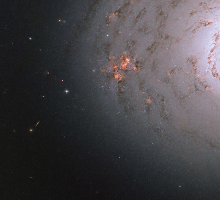 An amateur astronomer built a backyard observatory for two years, now ...