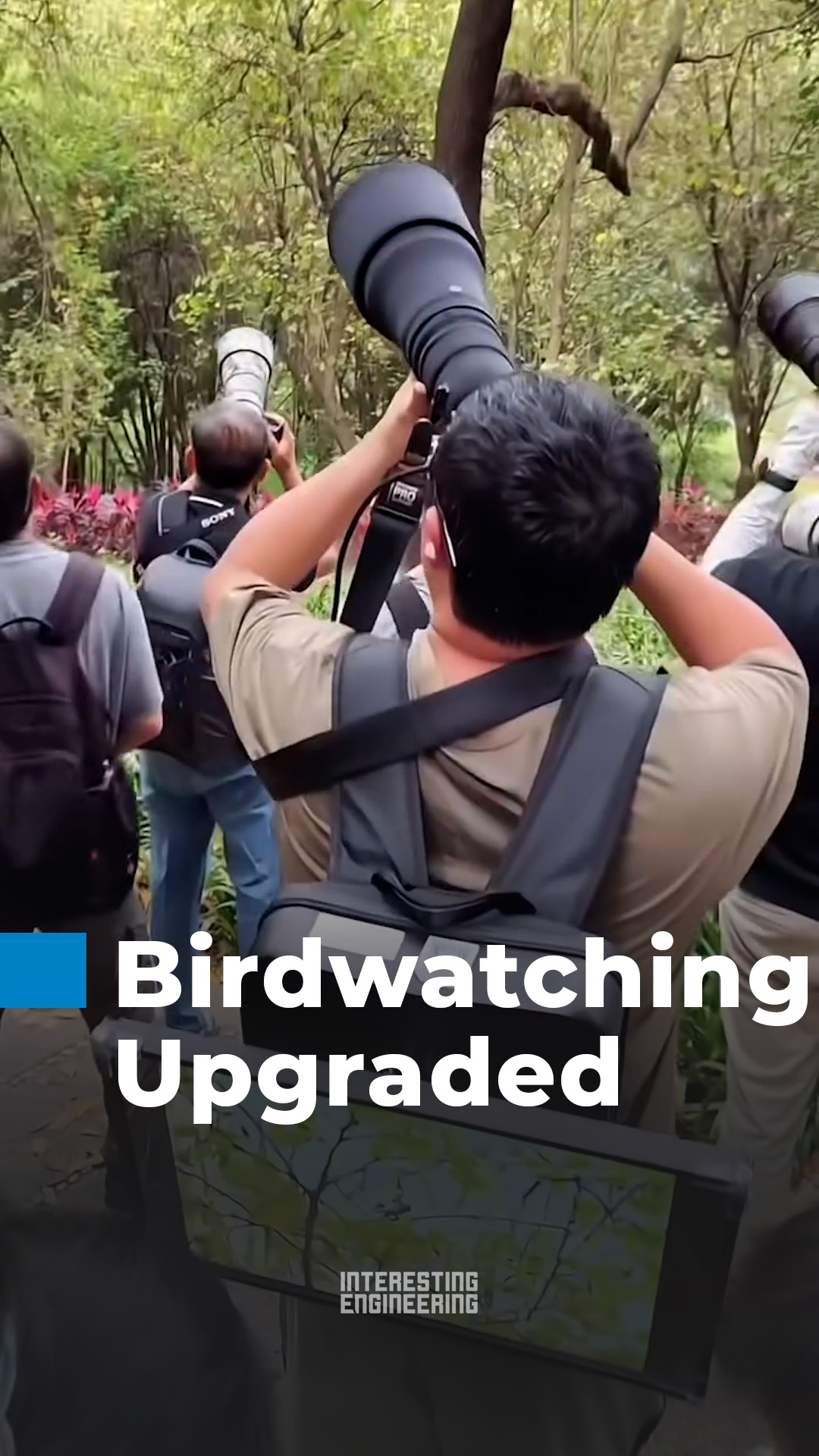 Birdwatching upgraded: Giant lenses, live screens, full rigs