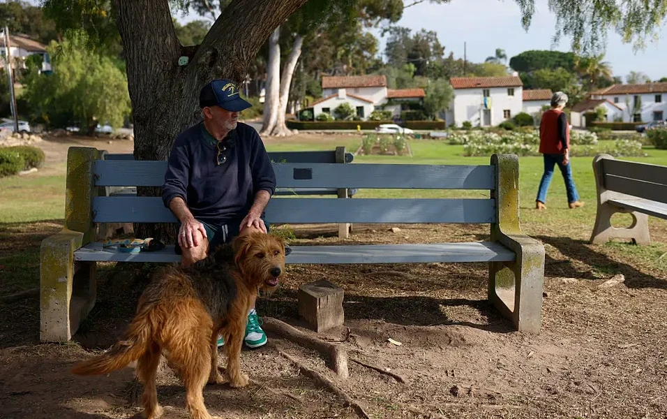 Viral dog videos highlight deep bonds and health benefits
