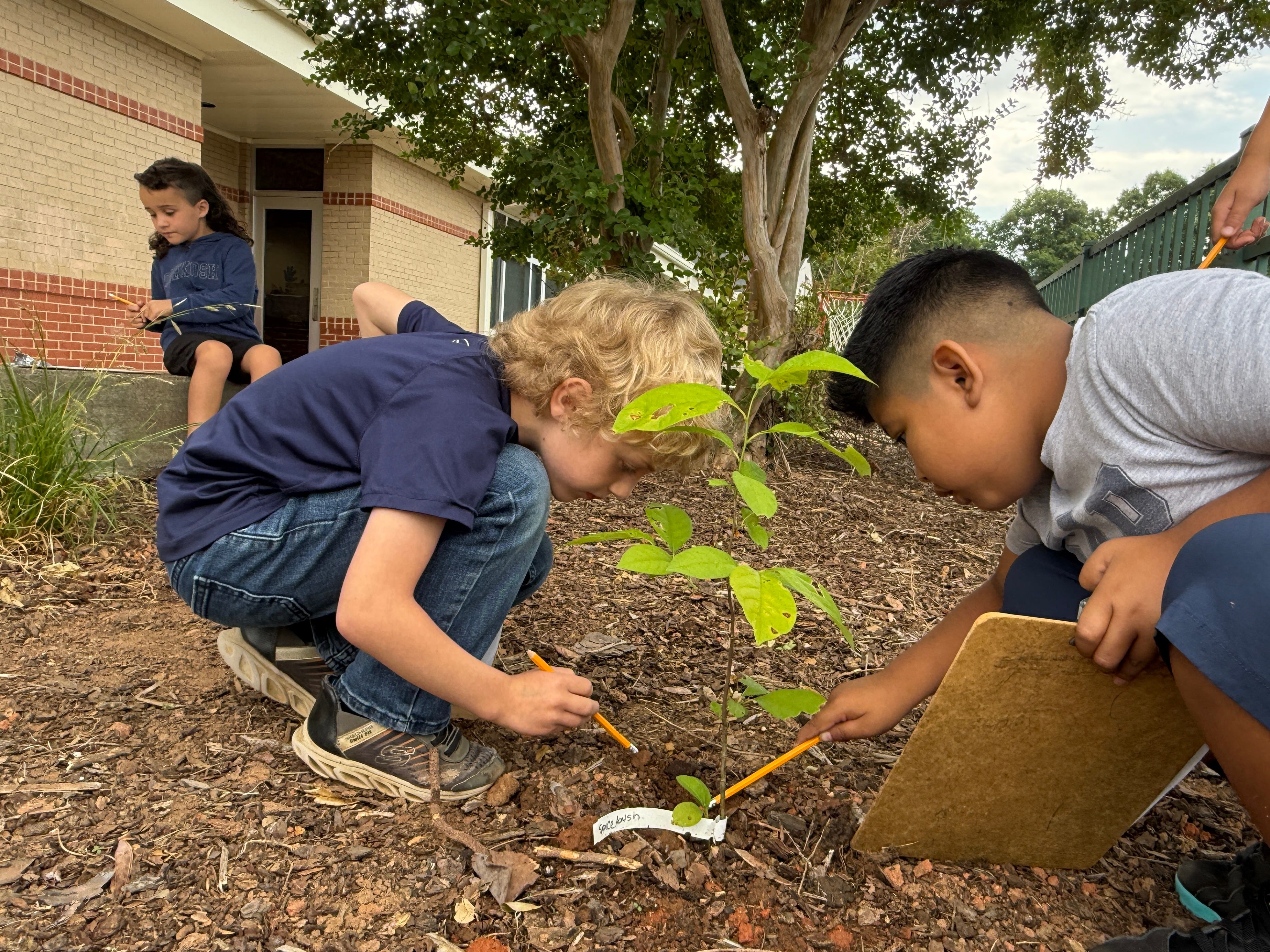 Stories of the land: What kids can learn from a garden