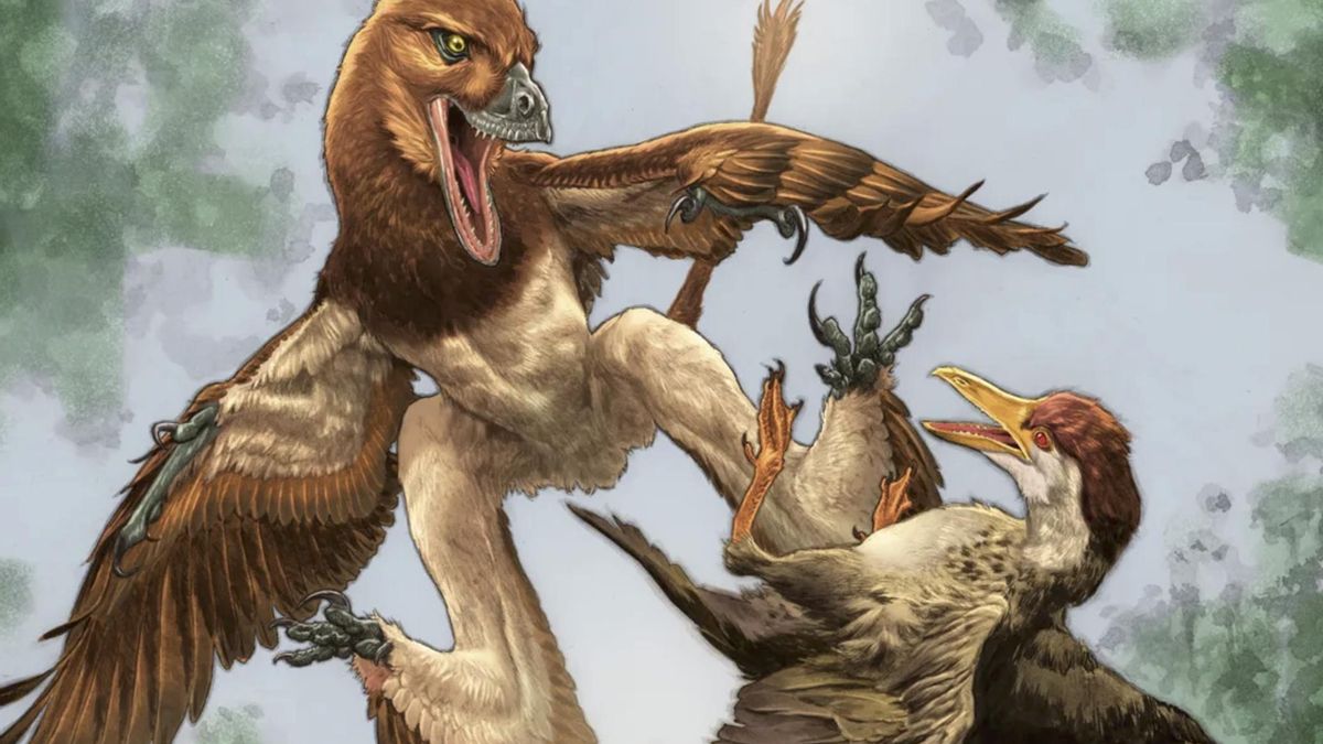El nuevo pariente del velociraptor tenía cuatro alas funcionales y ...