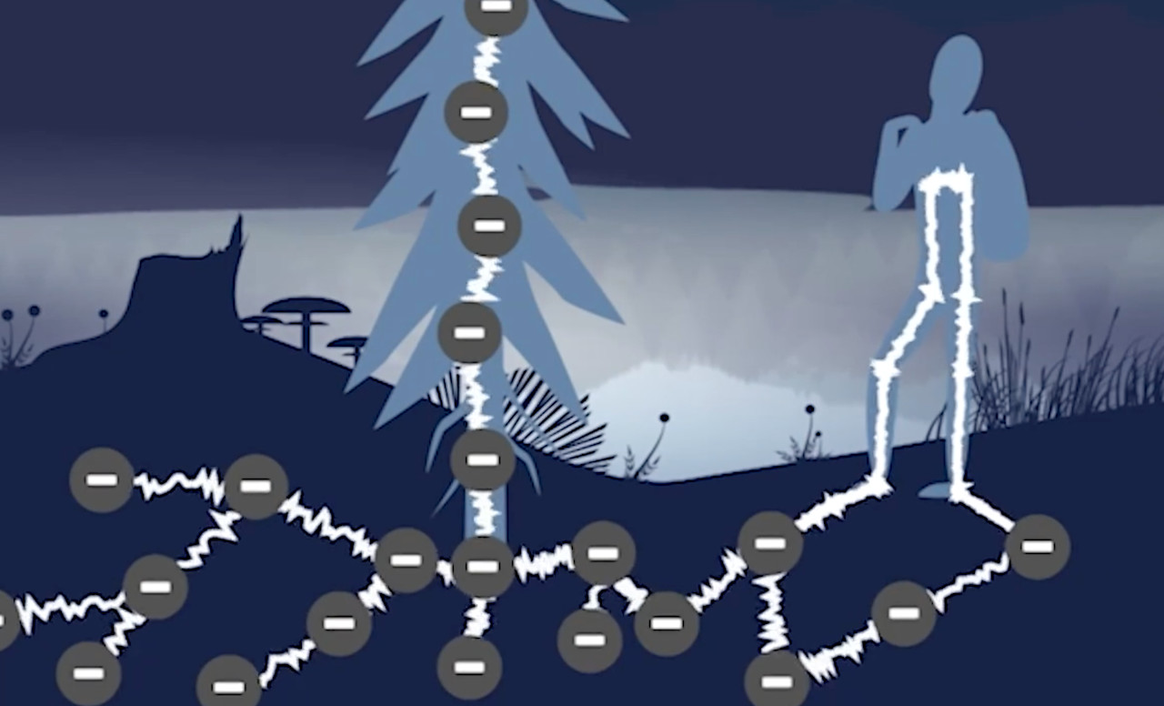 What happens inside your body when you're struck by lightning?