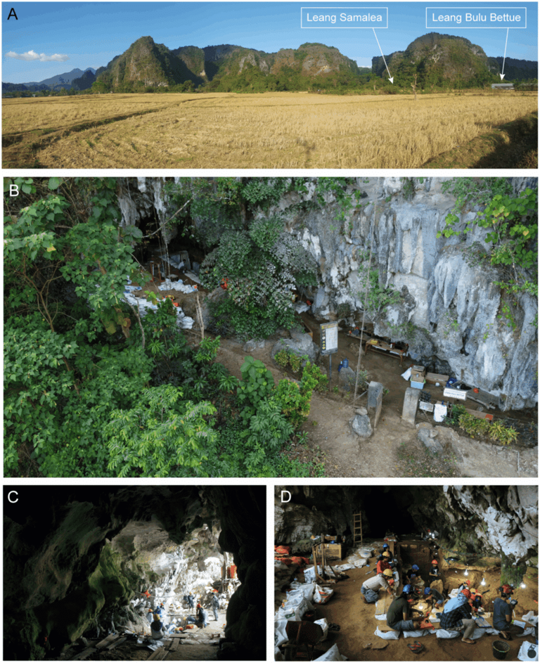 Scientists discover ancient human-like species that lived and hunted in ...