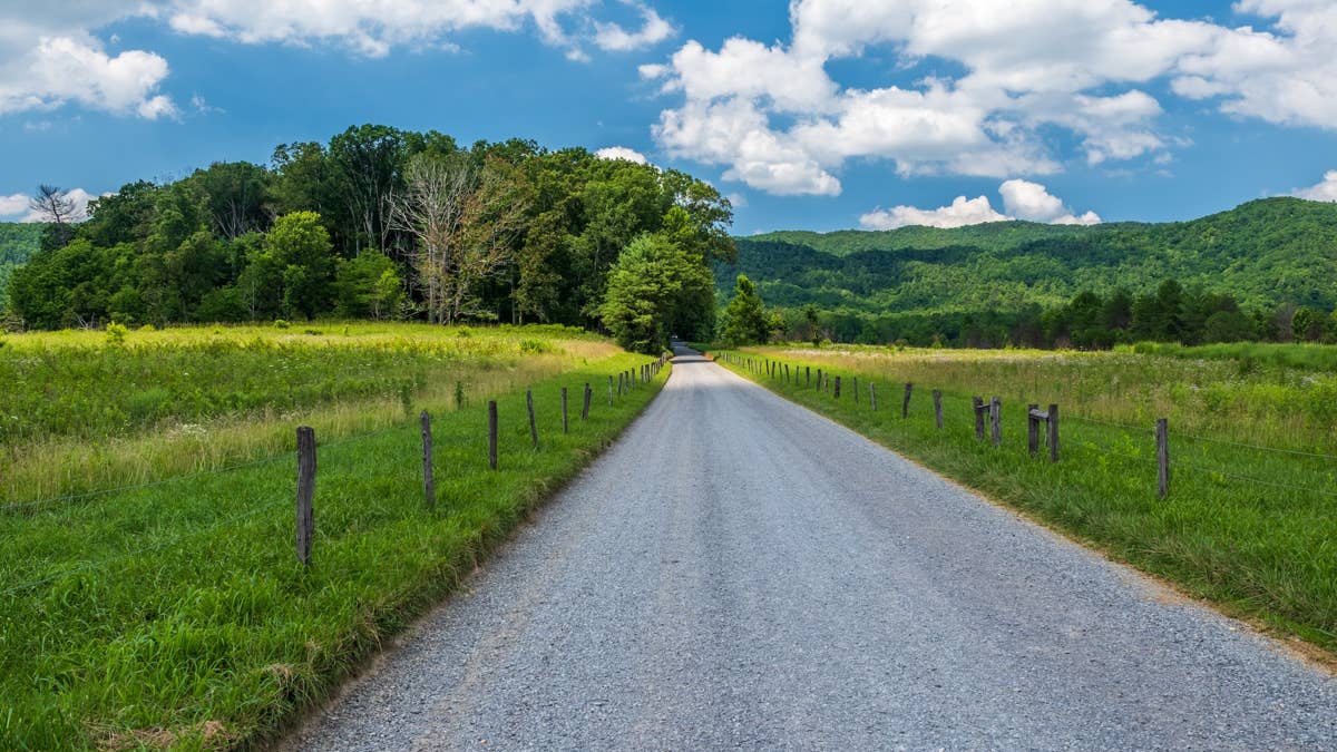 Tennessee named best state for family road trips, surprising Florida's ...
