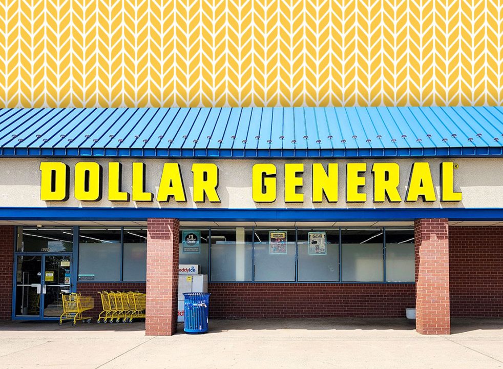 11 best new Dollar General home finds under $15