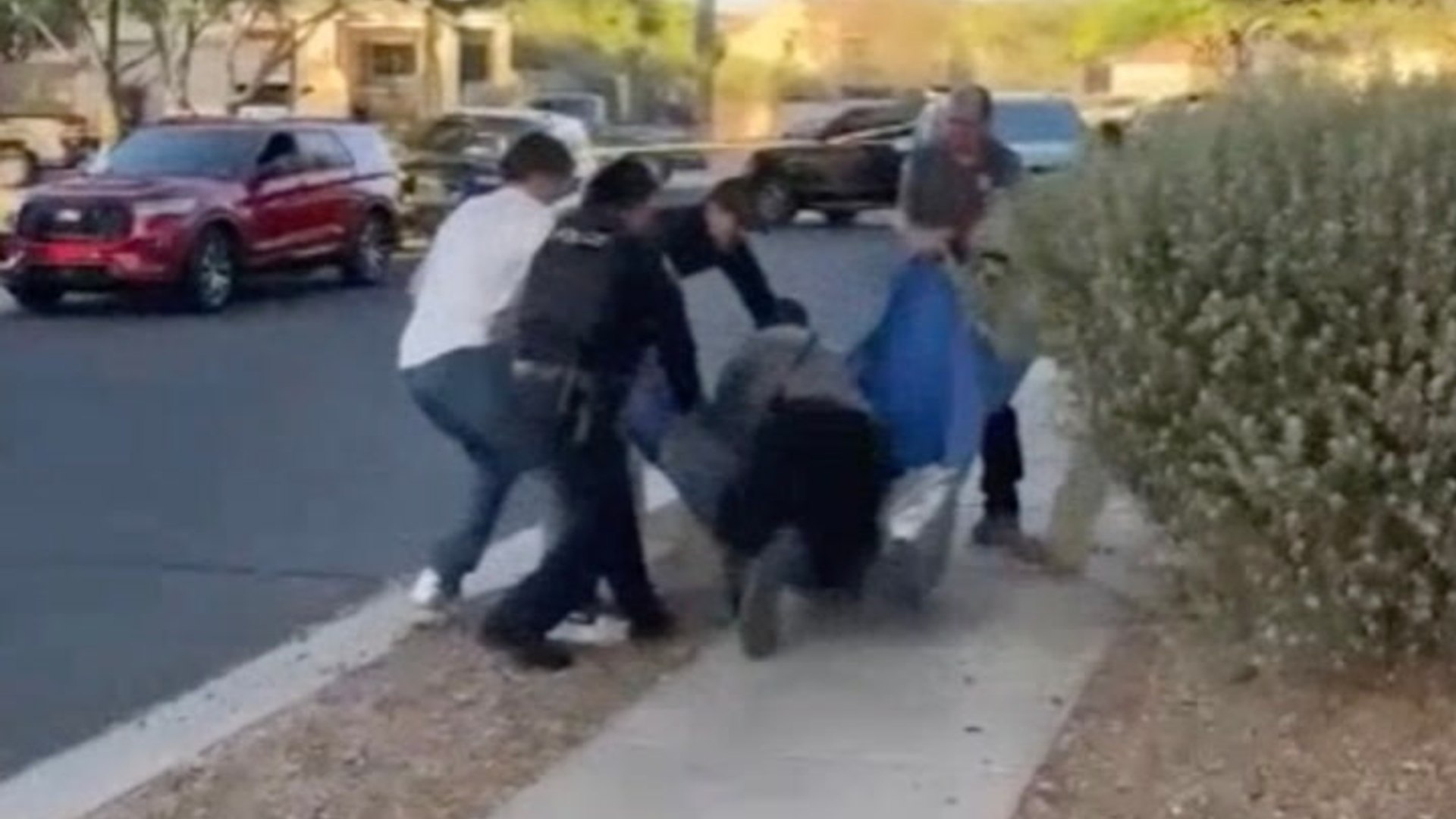 Bear rescue takes comic turn as officer tumbles onto sedated animal