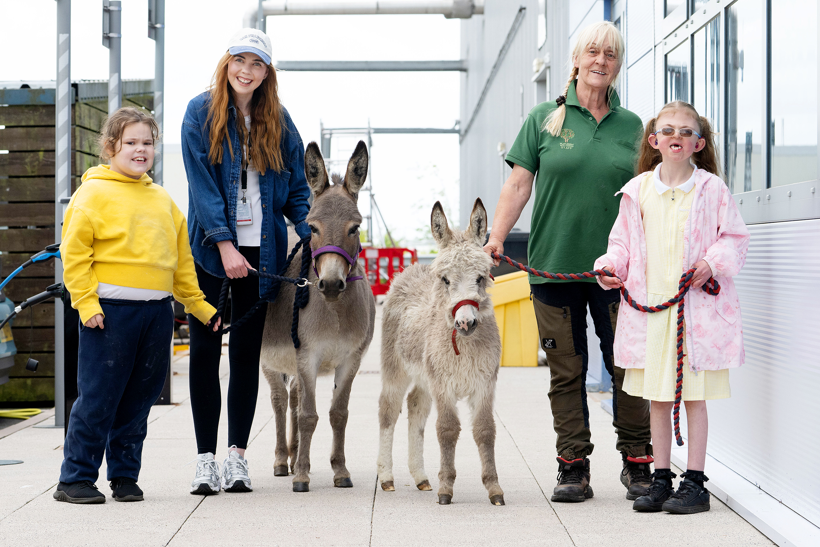 Animal fun for students at Amazon in Daventry