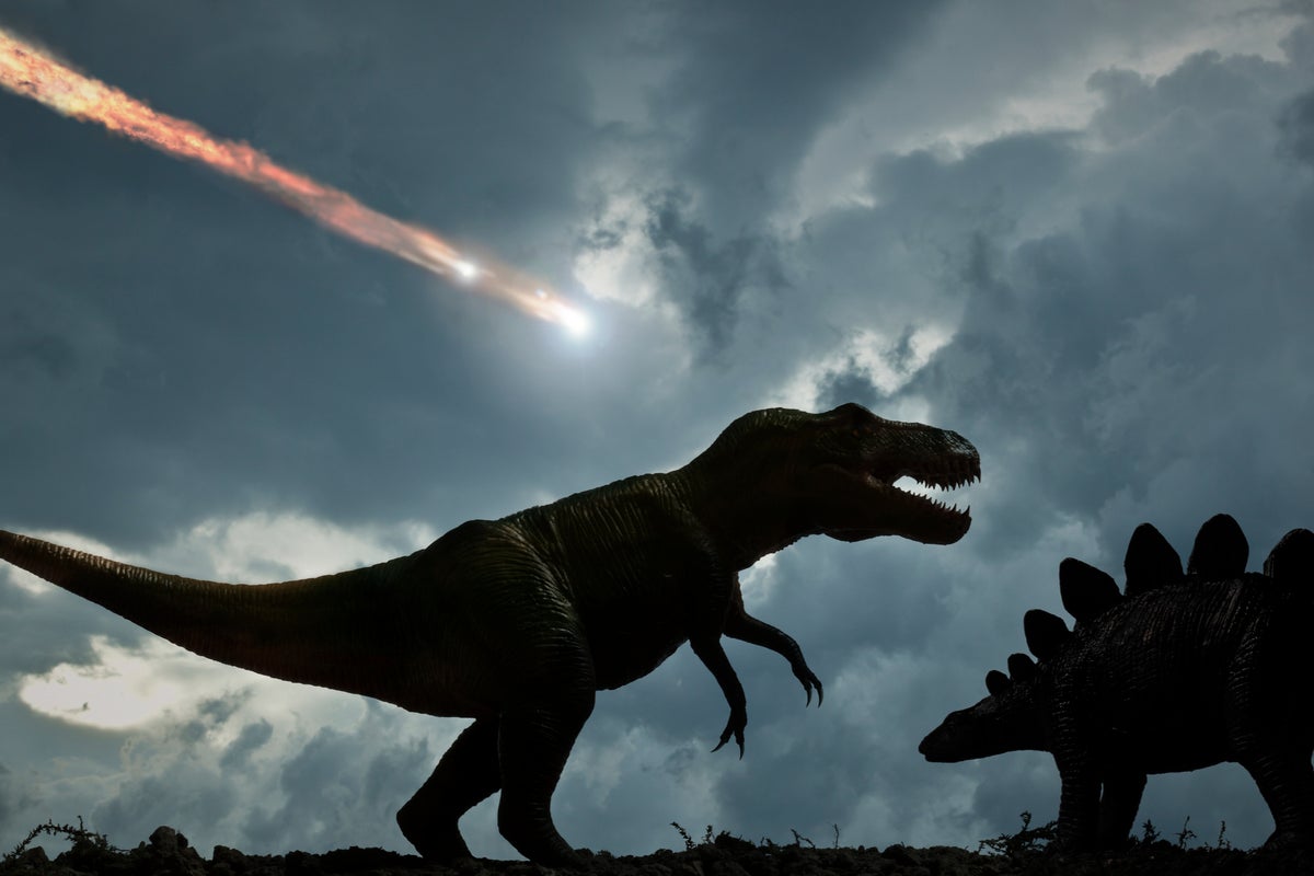 The meteorite that wiped out dinosaurs had an unexpected effect