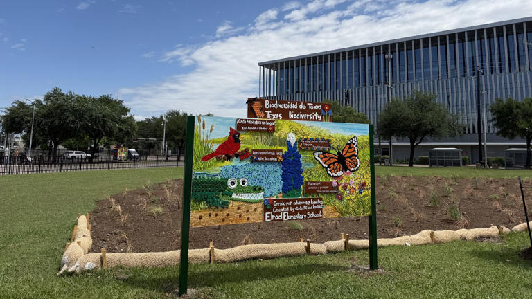 Houston World Cup green corridor: Trees, trails and sustainability projects