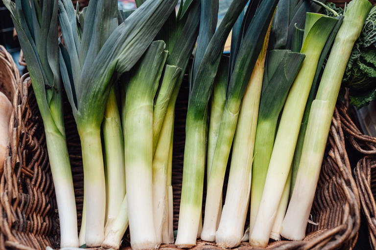 13 vegetables to plant in June for homegrown harvests that last until ...