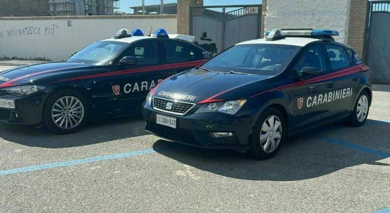 «Regalo cuccioli». Poi si fa fare un bonifico e non rispetta gli ...
