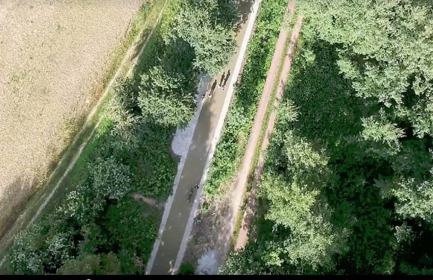 Jedź 55 kilometrów rowerem do Czech ze Śląska. To jedyna taka trasa w ...