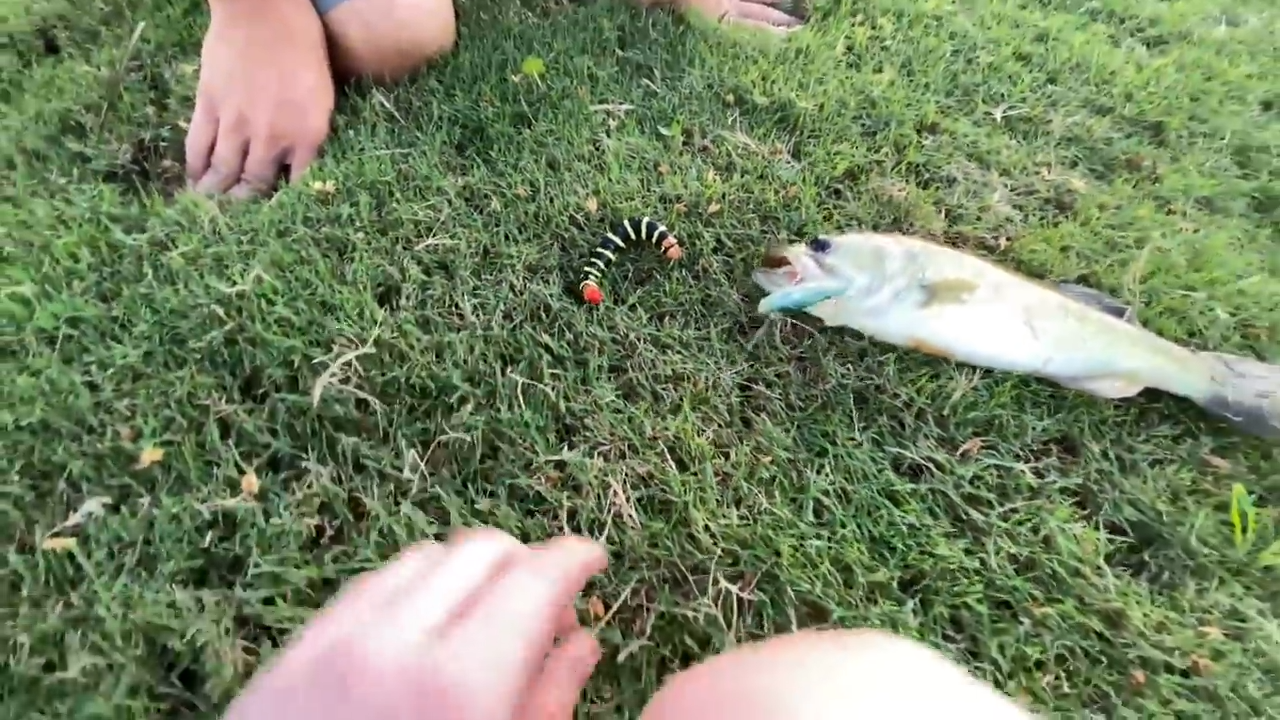 He thought it was just bass until venomous worm was found inside his mouth