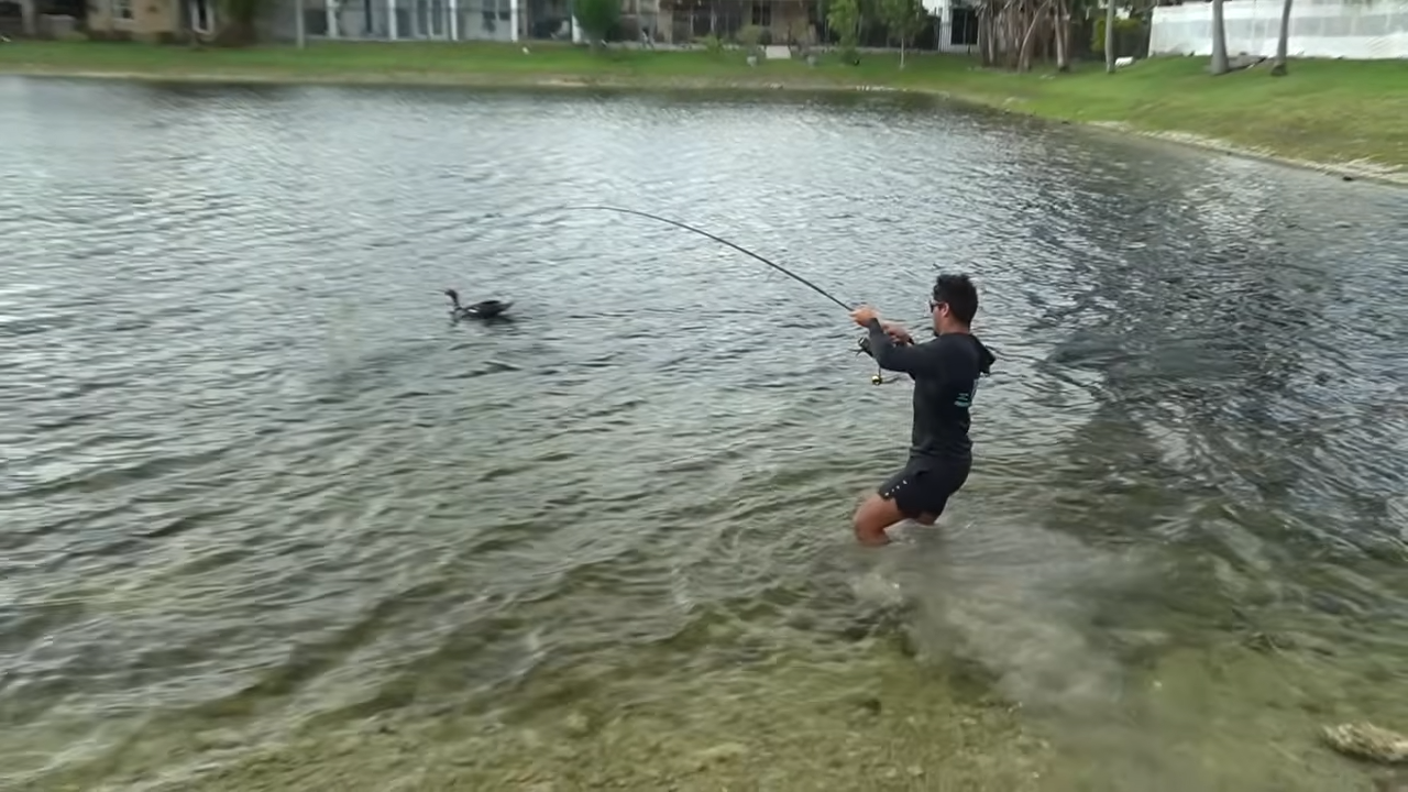 A lady reported a shark in her pond until the biggest monster fish ate ...
