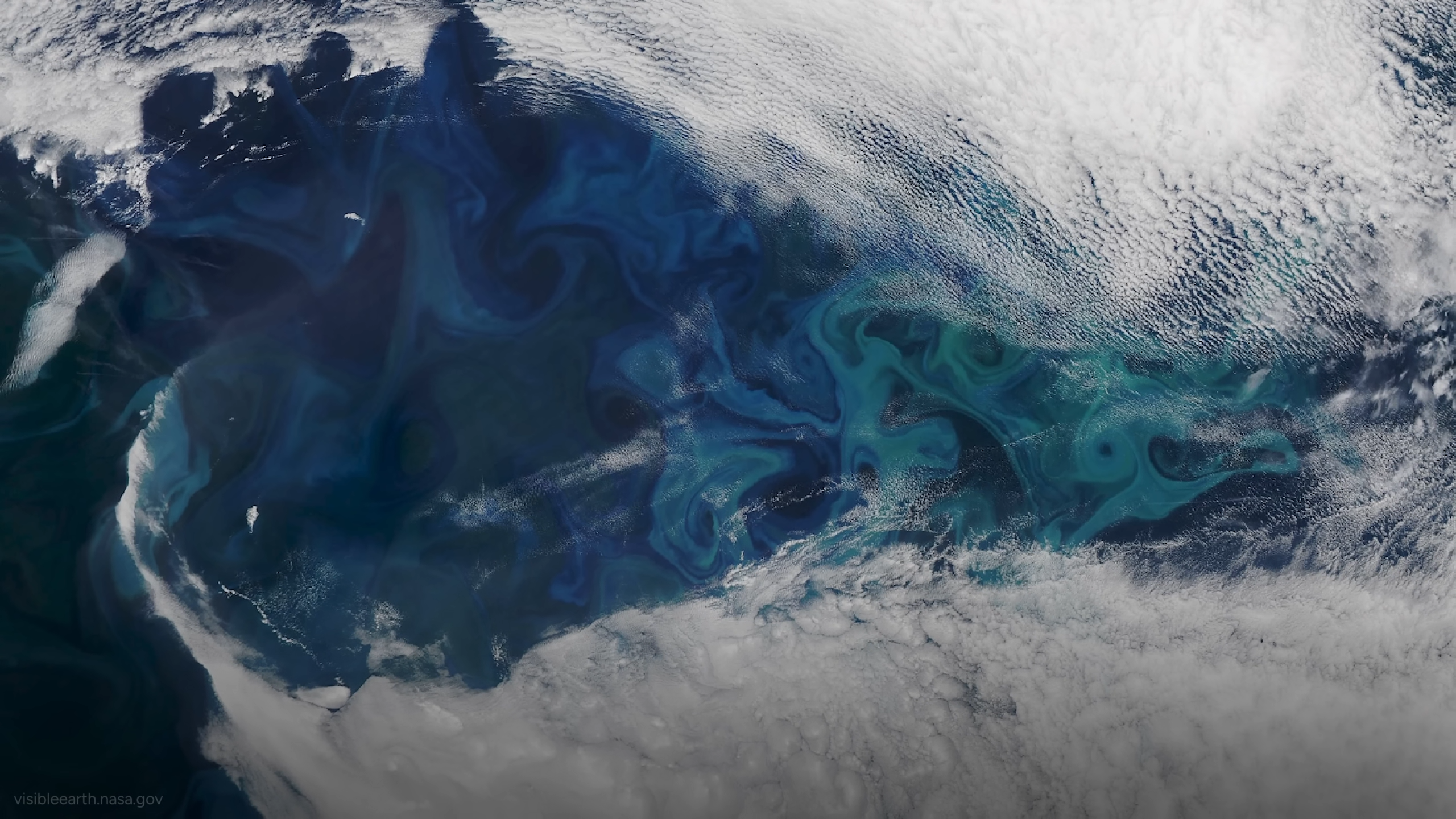 Greenland is dumping 270 billion tons of ice a year - and Europe may ...