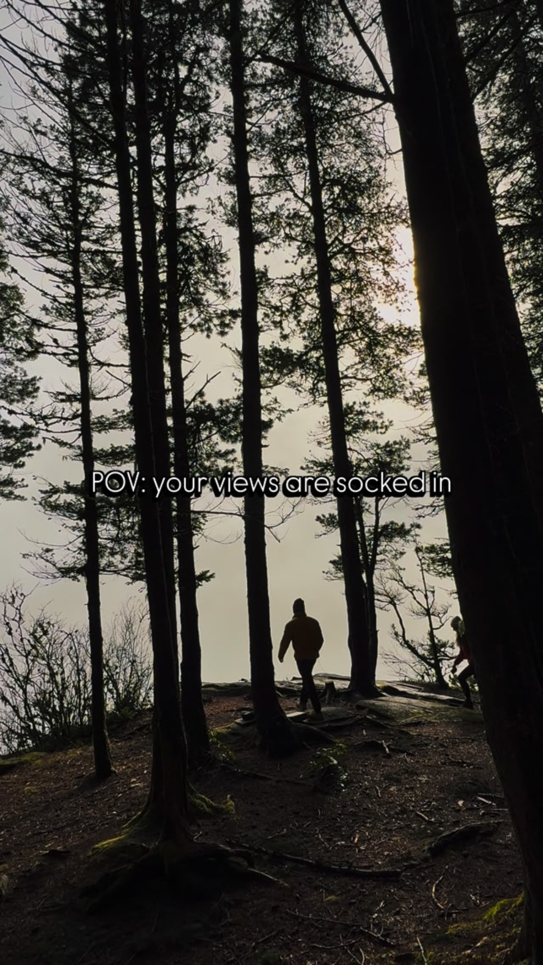 Drone hike adventure through Pacific Northwest forests